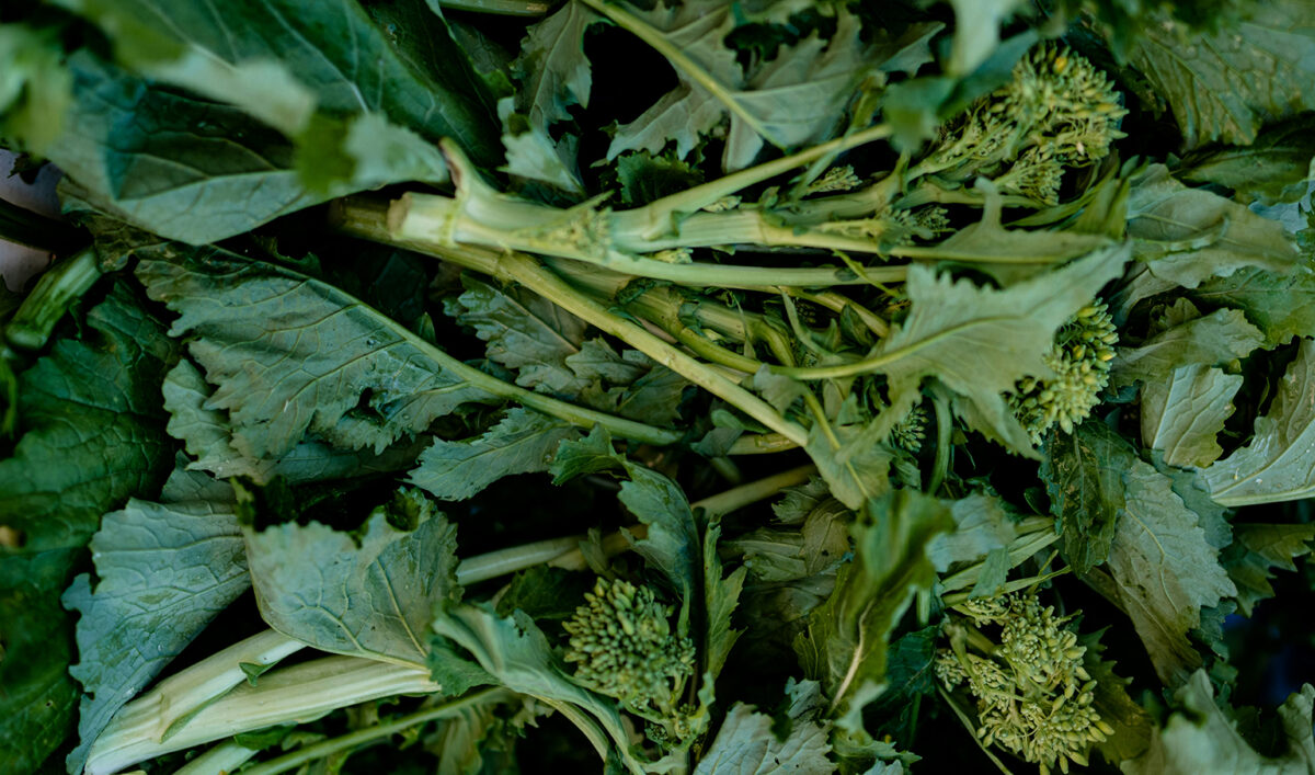 The Benefits of Bitter Greens: Plus the Perfect Broccoli Rabe Recipe ...