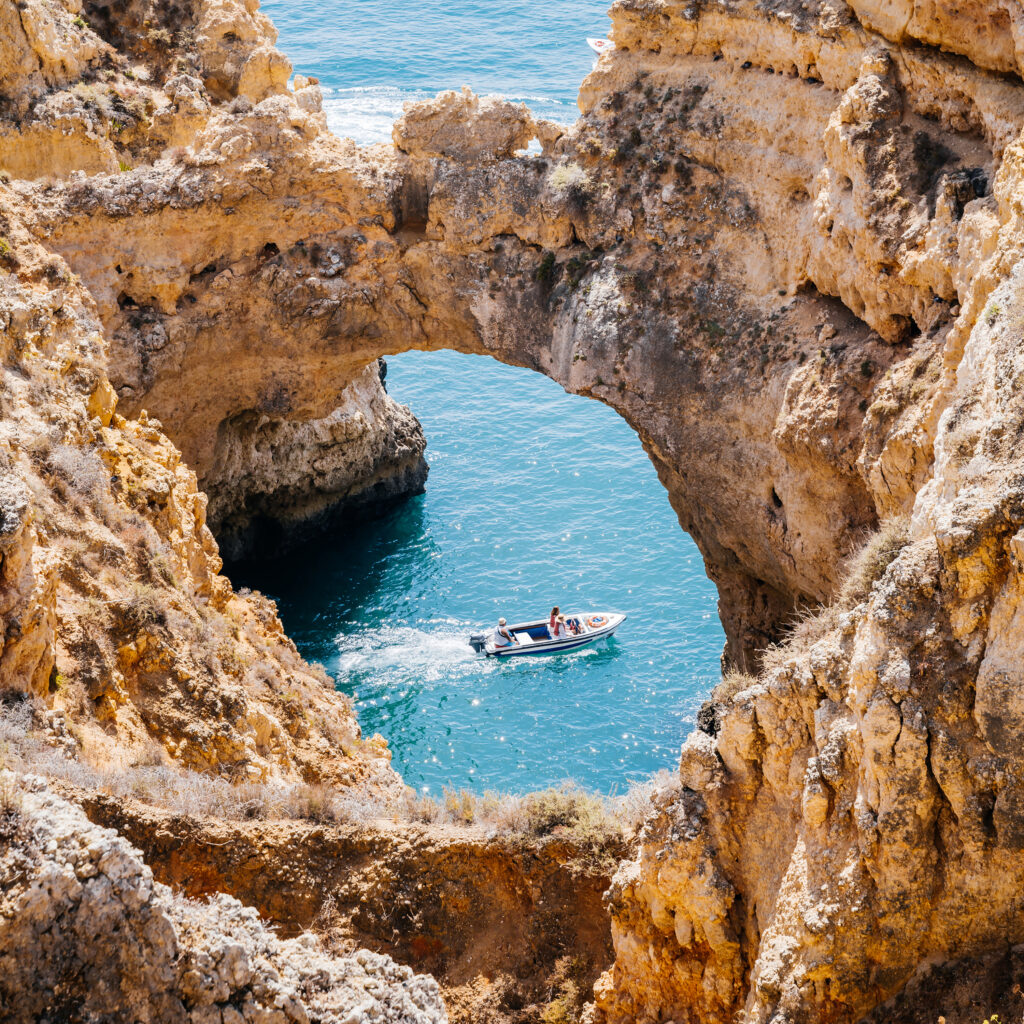 The Longevity Portfolio: How High Achievers Are Investing in a 100-Year ...